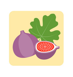 Figs 3d realistic icon Royalty Free Vector Image