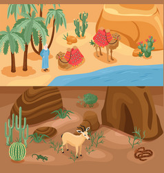 Ecosystem desert Royalty Free Vector Image - VectorStock