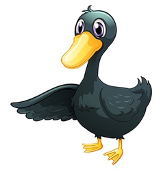 Cute cartoon duck Royalty Free Vector Image - VectorStock