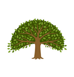 Tree isolated on white background Royalty Free Vector Image