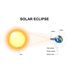 Solar eclipses Royalty Free Vector Image - VectorStock