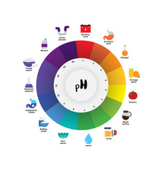 Ph scale universal indicator ph color chart Vector Image