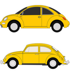 Yellow beetles Royalty Free Vector Image - VectorStock