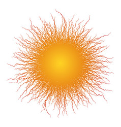 Fire or sun background Royalty Free Vector Image