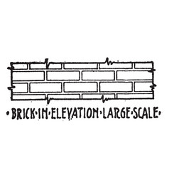 Brick in elevation large scale material symbol Vector Image