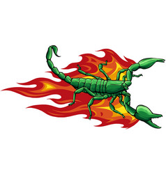 Scorpio Royalty Free Vector Image - VectorStock