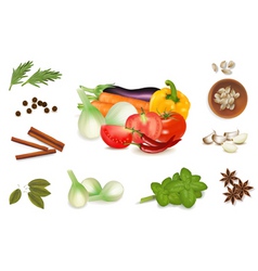 Group spices Royalty Free Vector Image - VectorStock