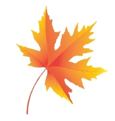 Paper maple leaf Royalty Free Vector Image - VectorStock