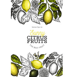 Lemon border drawing citrus fruit frame Royalty Free Vector