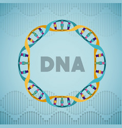 DNA strand sphere with curves Royalty Free Vector Image