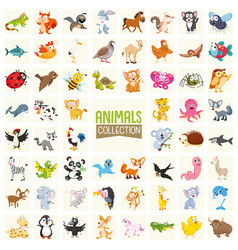 Cartoon animals collection Royalty Free Vector Image