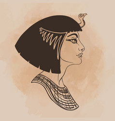 Egyptian queen nefertiti isolated on white Vector Image