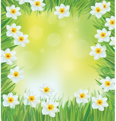 Spring leaves Royalty Free Vector Image - VectorStock