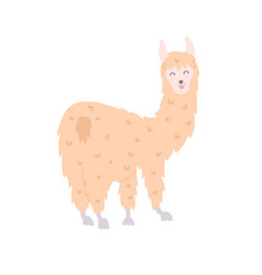 Isolated outline cartoon baby llama Royalty Free Vector