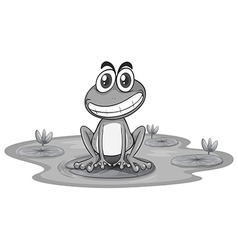 Toad Royalty Free Vector Image - VectorStock