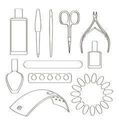 Nail anatomy Royalty Free Vector Image - VectorStock