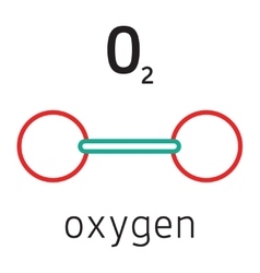 O2 oxygen molecule Royalty Free Vector Image - VectorStock