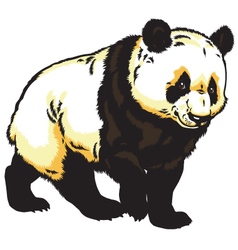 Panda riding a rocking horse Royalty Free Vector Image
