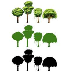 Tree with liana and vine Royalty Free Vector Image