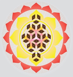 Life seed mandalas designs Royalty Free Vector Image