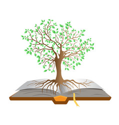 Book with tree Royalty Free Vector Image - VectorStock