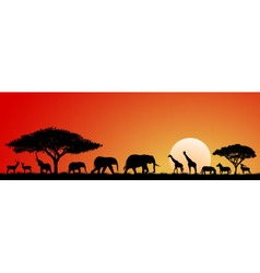 Savanna animals on a background a sunset sun Vector Image