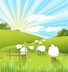 Sheep farm Royalty Free Vector Image - VectorStock