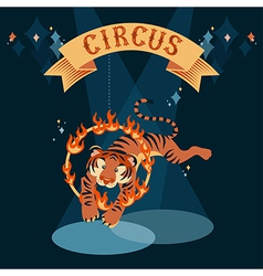 Circus tiger Royalty Free Vector Image - VectorStock