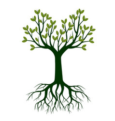 Green summer tree Royalty Free Vector Image - VectorStock
