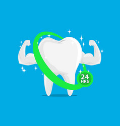 Single white and very strong muscle healthy tooth Vector Image