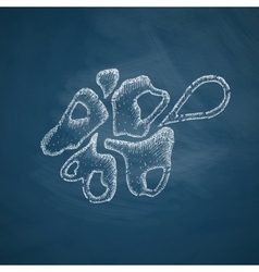 Wisp icon Royalty Free Vector Image - VectorStock