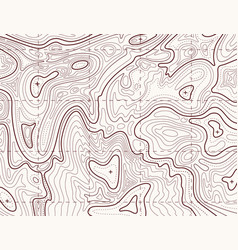 Topographic map trail mapping grid contour Vector Image