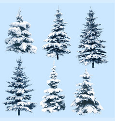 Winter cabin exterior pine trees forest and snow Vector Image