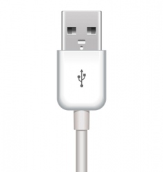 Usb cable and plug Royalty Free Vector Image - VectorStock