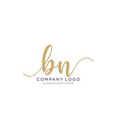 Bn initial handwriting logo with circle template Vector Image
