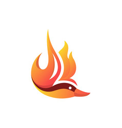Phoenix fire logo design Royalty Free Vector Image