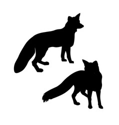 Red fox set Royalty Free Vector Image - VectorStock