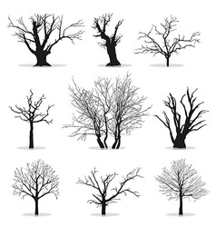 Trees collection Royalty Free Vector Image - VectorStock
