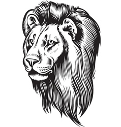 Gothic lion Royalty Free Vector Image - VectorStock