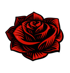 Red rose cartoon style on white background Vector Image