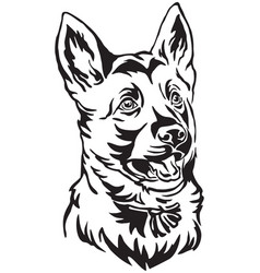 German shepherd hand drawing Royalty Free Vector Image