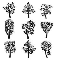 Stylized tree collection Royalty Free Vector Image