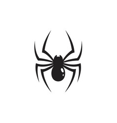 Spider and web Royalty Free Vector Image - VectorStock