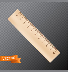 Ten inch or centimeter straight wooden ruler 3d Vector Image
