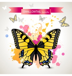 Swallowtail butterfly Royalty Free Vector Image