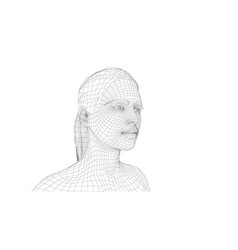 Wireframe portrait a young beautiful girl Vector Image