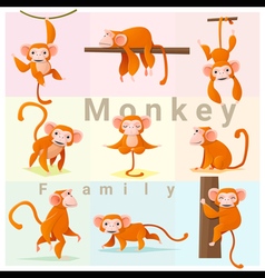 Family three cute monkeys Royalty Free Vector Image