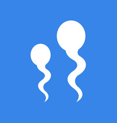 Male reproductive system Royalty Free Vector Image