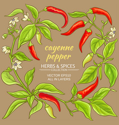 Cayenne pepper seamless pattern Royalty Free Vector Image