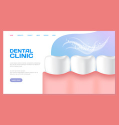 Human gum with healthy teeth and denture Vector Image